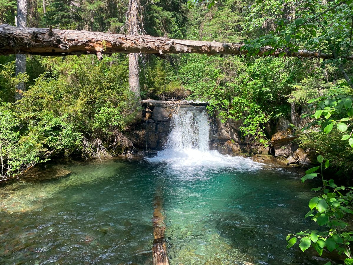 South Fork of the Flathead - Wilderness River Outfitters