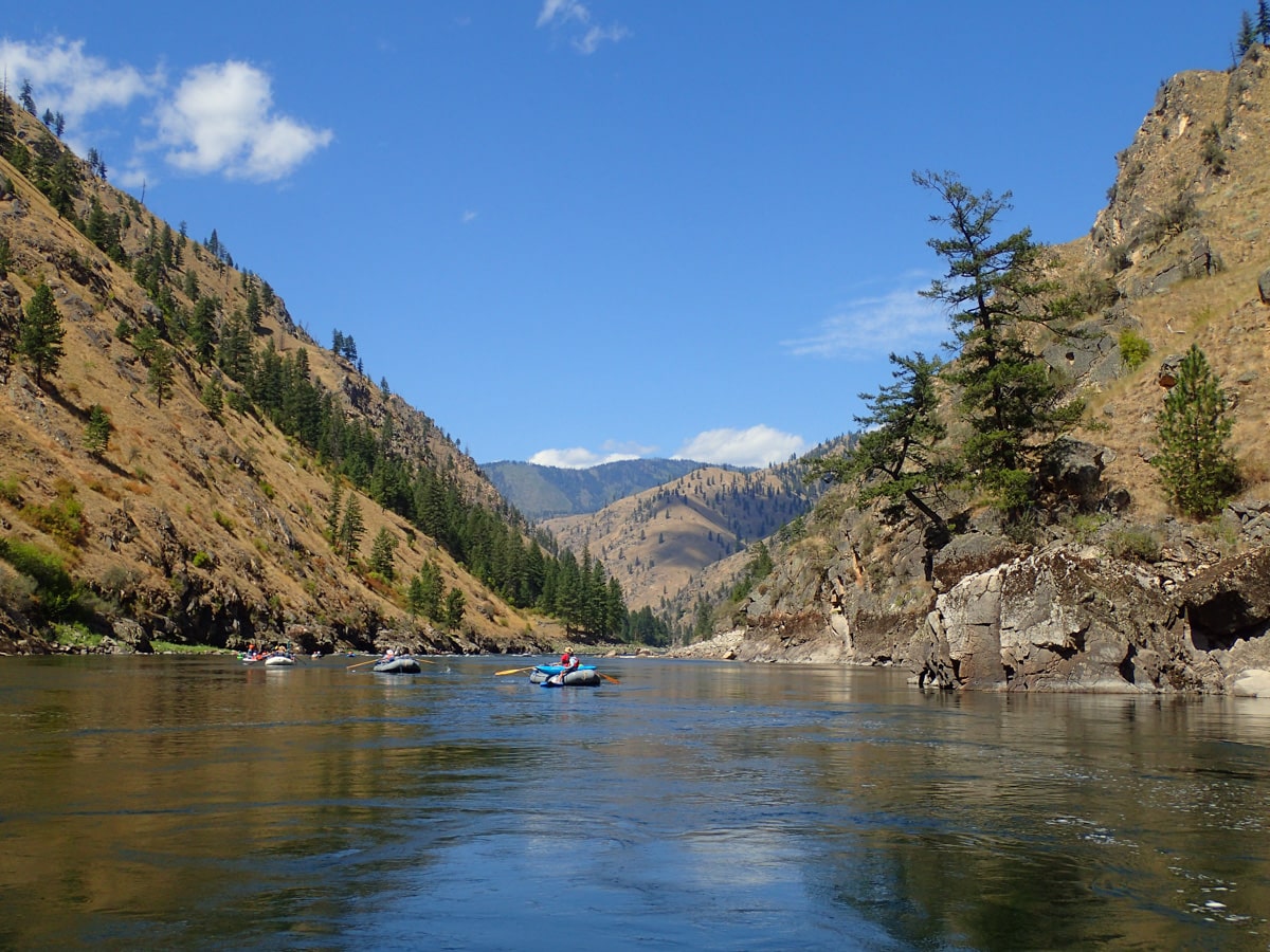 Main Salmon - Wilderness River Outfitters
